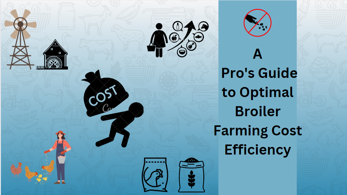 Mastering Feed Cost Analytics For Efficient Broiler Farming 7997